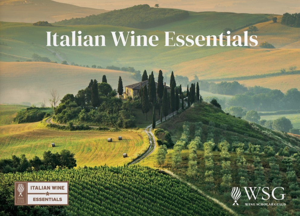 Italian Wine Essentials – Florida Wine Academy